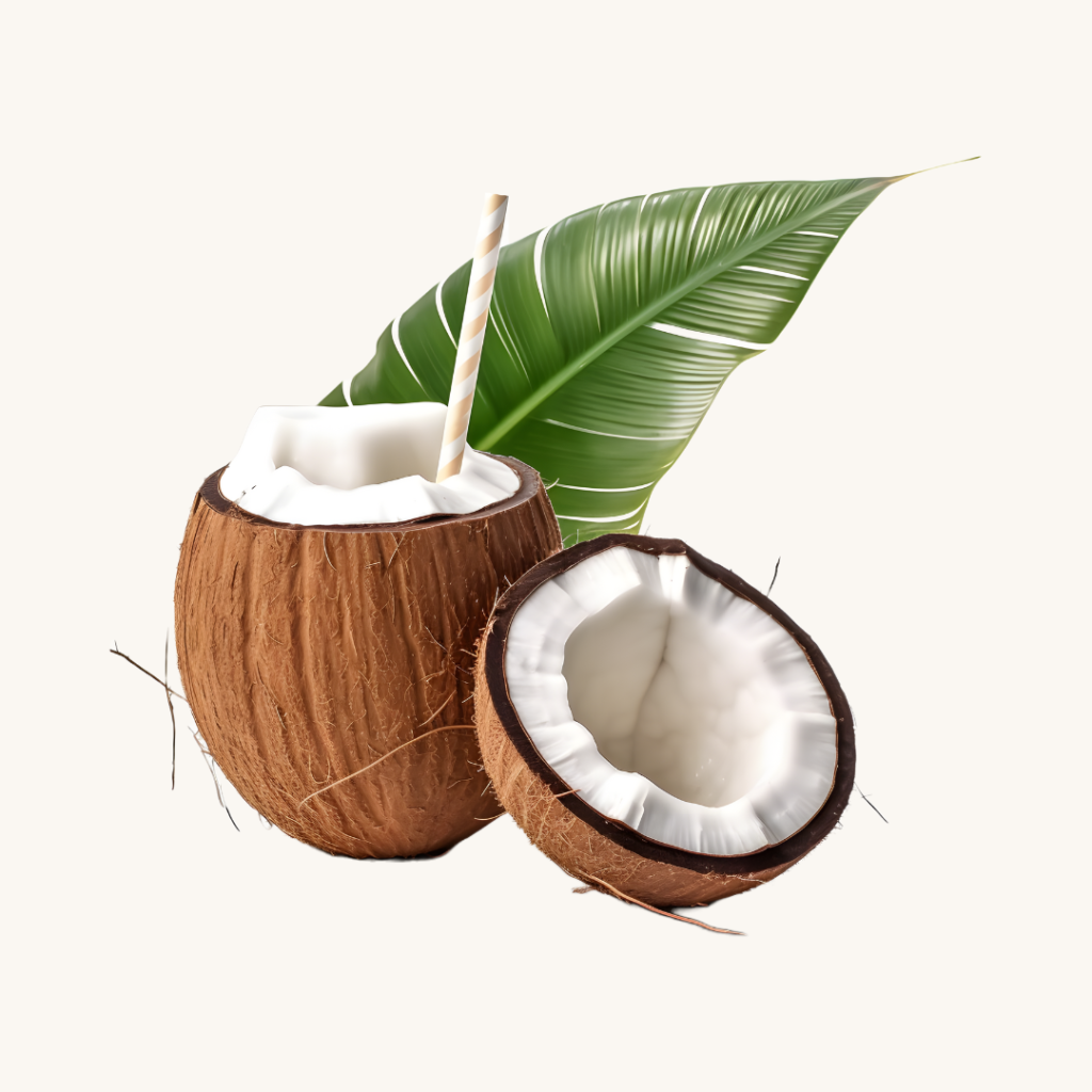 Dr. Coconut – Fresh tender coconuts delivered daily