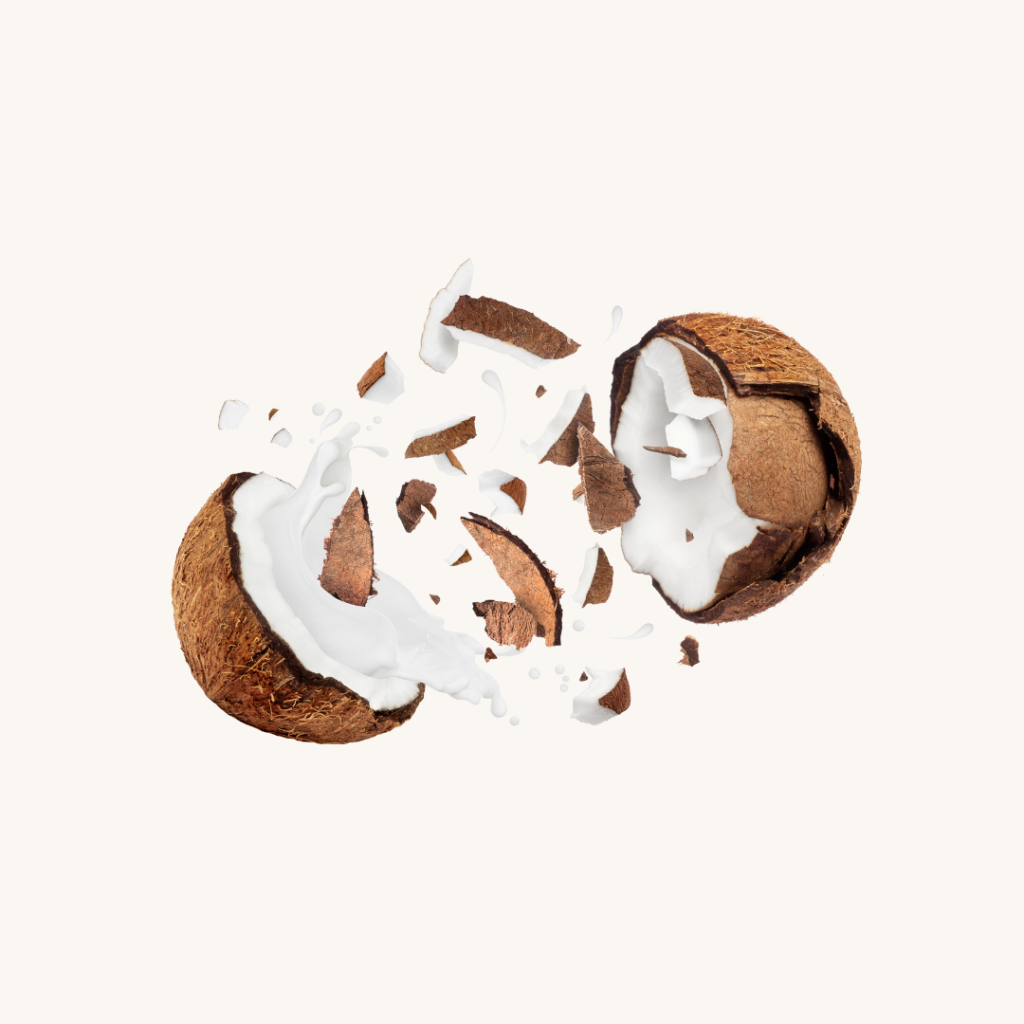 Dr. Coconut – Fresh tender coconuts delivered daily