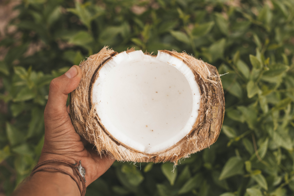 Tender Coconut – Fresh tender coconuts delivered daily