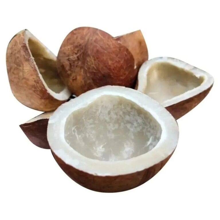 Dr. Coconut – Fresh tender coconuts delivered daily